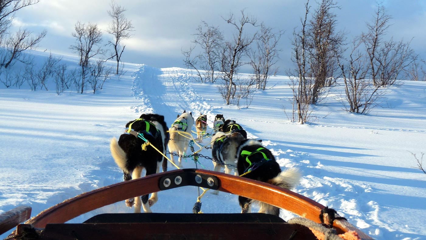 7 Scintillating Norway Adventures That You Have To Experience!