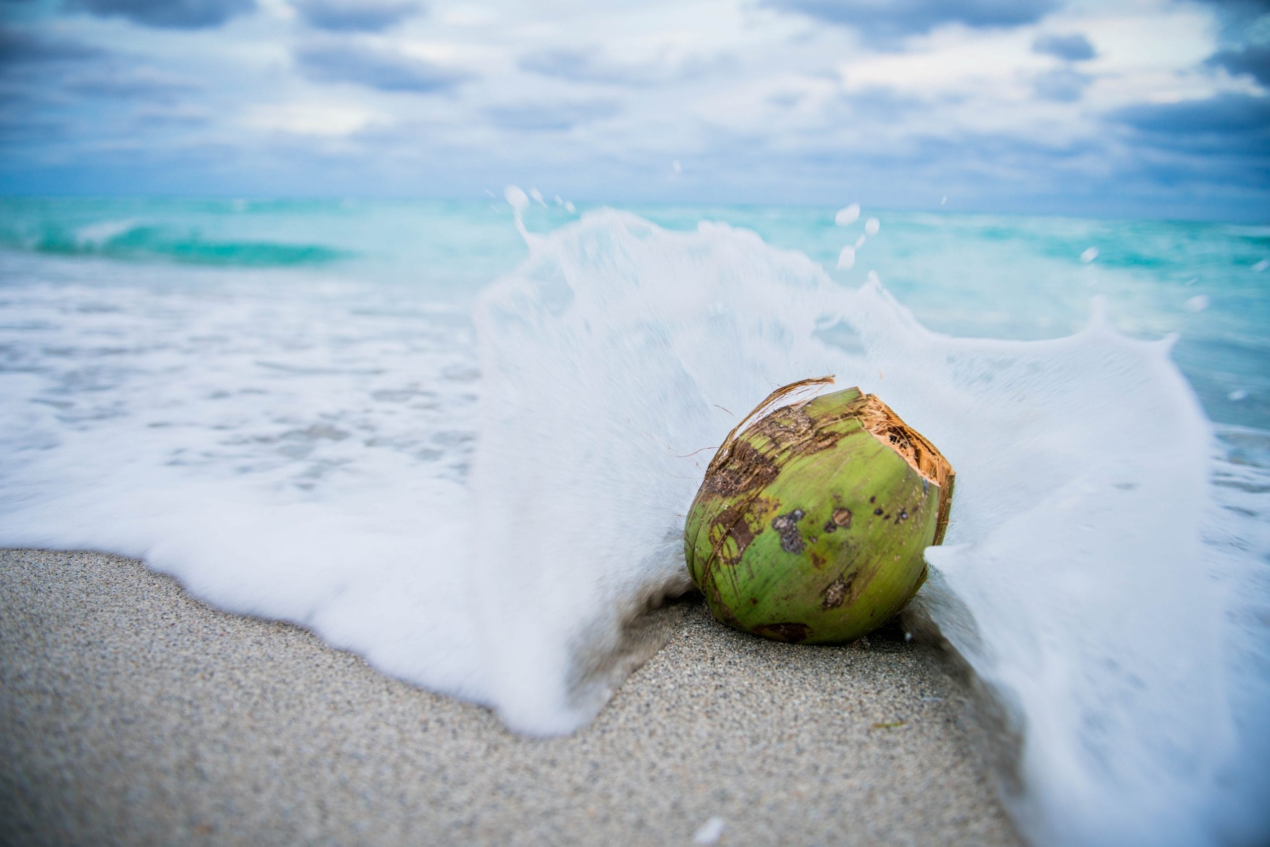 Coconuts in Seychelles: A Tropical Delight You Must Try